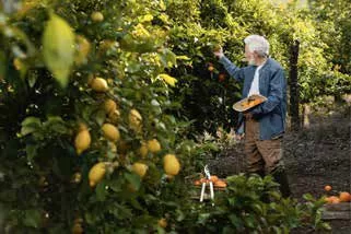 Happy Soils - Case Studies - 100% Regenerative Organic