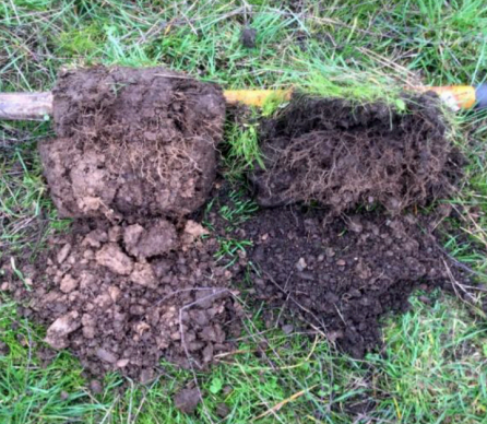 Happy Soils: Cultivating Prosperity for Farmers