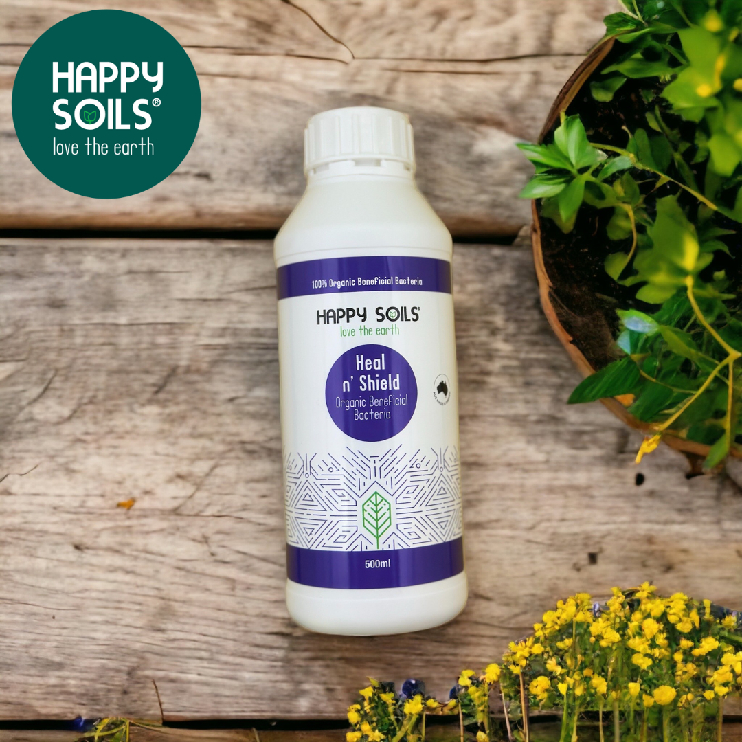 Happy Soils’ Energise: Nurturing Fruiting Excellence in Your Garden ...