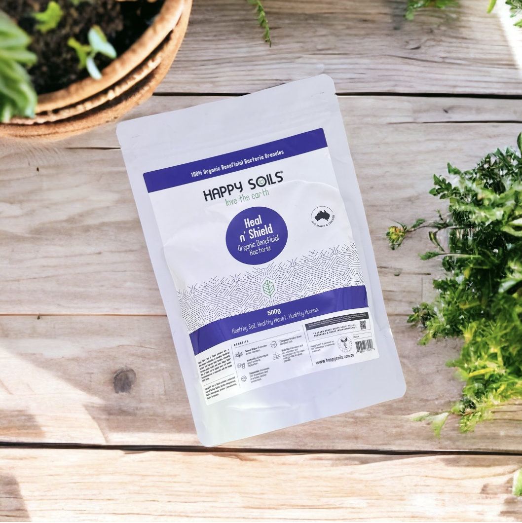 How to Boost your Plant Immunity for Thriving Gardens - Happy Soils