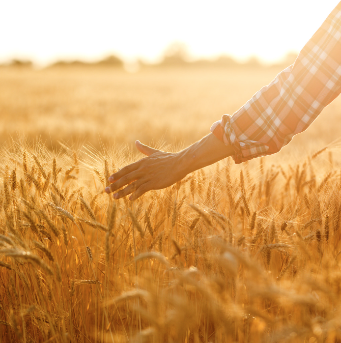 Boosting Farm Productivity: Essential Tips for Australian Farmers to ...